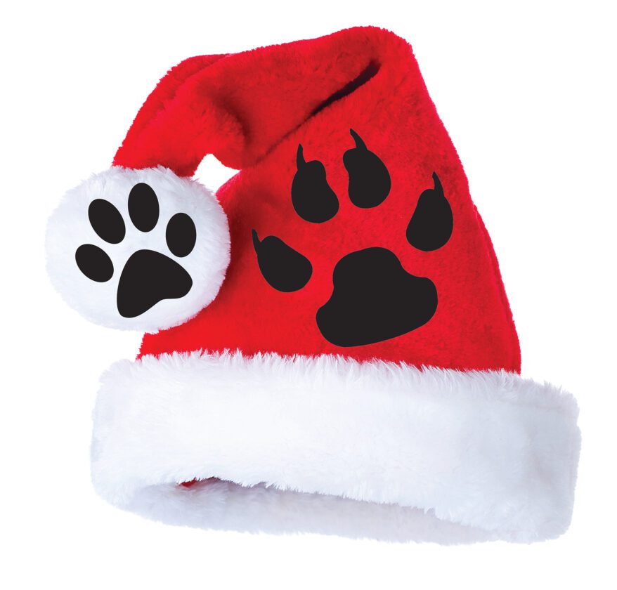 Lee County Domestic Animal Services to host annual Pet Fest and photos ...